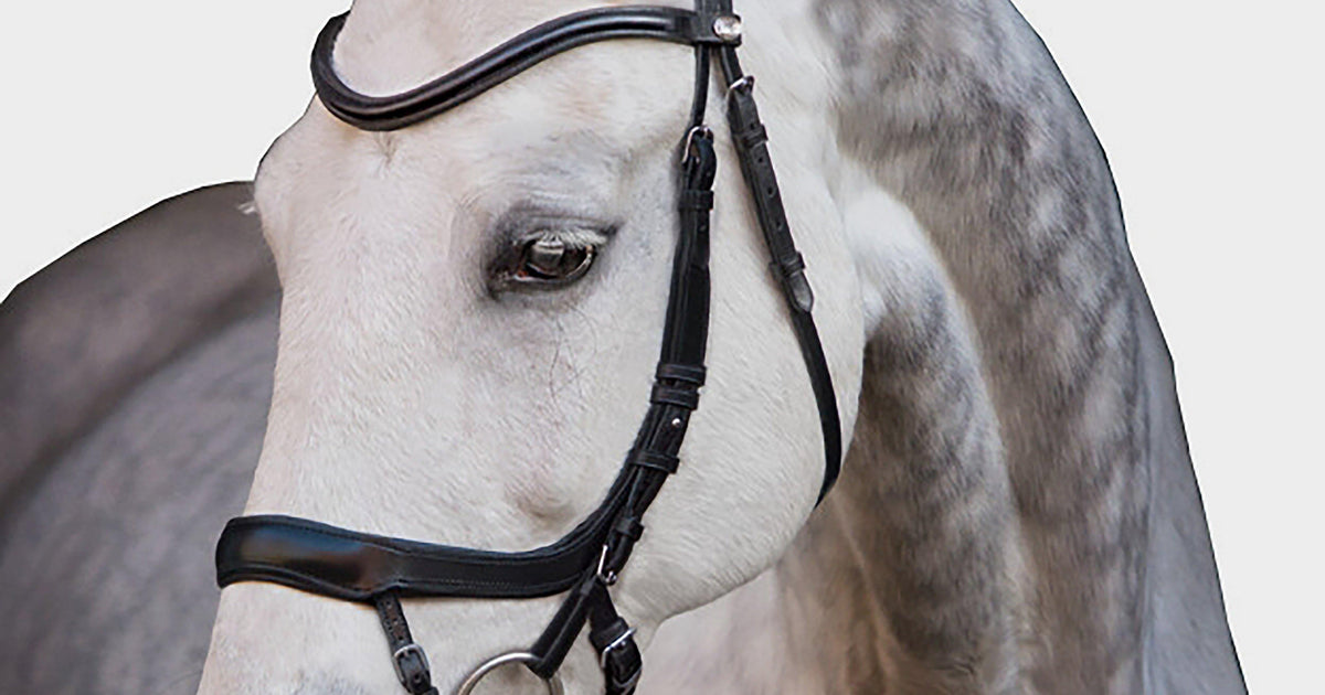 Black Schockemohle Equitus Alpha Anatomic Bridle – GO Outdoors