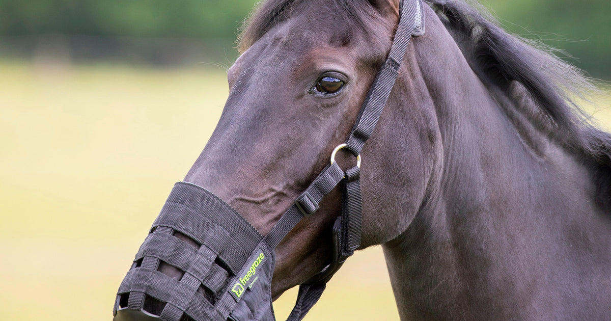 Black Shires Comfort Grazing Muzzle – GO Outdoors