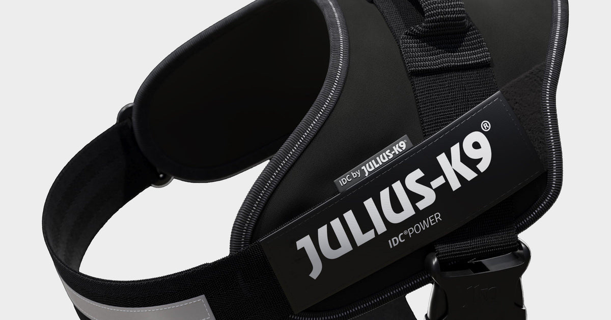 Black Julius K9 Original K9 Powerharness Size 1 – GO Outdoors