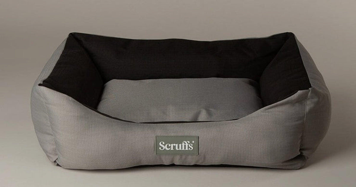 Grey Scruffs Expedition Box Bed M – GO Outdoors