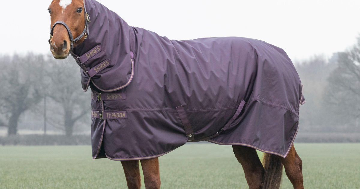 Red Shires Typhoon 100g Combo Neck Turnout Rug – GO Outdoors